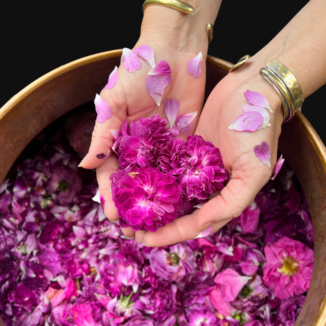 Titulo del Blog – My Store